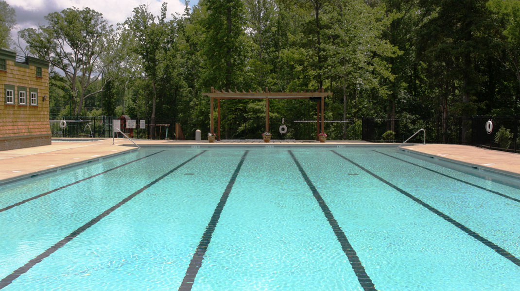 The Bridge - July 2025 - Acadia